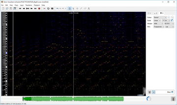 【藤本健のDigital Audio Laboratory】無料ソフトでオーディオ分析。「Sonic Visualiser」で何ができる?-AV Watch