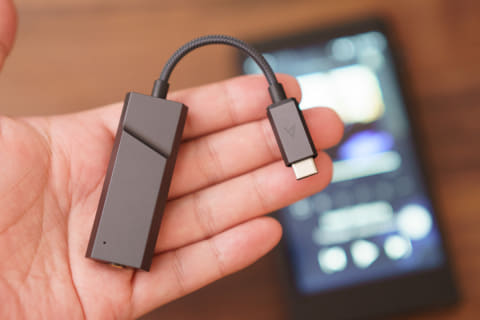 【レビュー】バランス/アンバラも1本で。超ナチュラルqdc「TIGER」と迫力の「Dmagic Solo」 - AV Watch