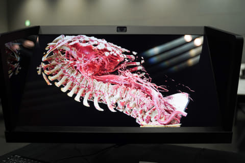 ソニー、大画面化で没入感がアップした空間再現ディスプレイ「ELF-SR2」 - AV Watch