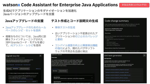 日本IBMが生成AIへの最新の取り組みを説明、「Granite」のオープンソース化などをアピール - クラウド Watch