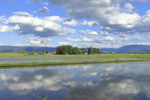 写真が本来持っている底力を引き出すテクノロジー…キヤノン「Neural network Image Processing Tool」（その1 ...