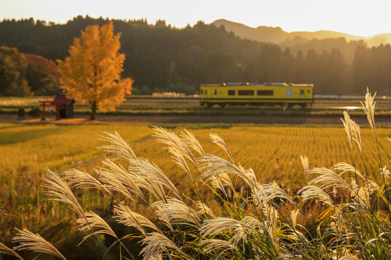 GANREFメンバーが撮った「季節の写真」：秋を彩る「紅葉」写真の数々をご紹介 - デジカメ Watch