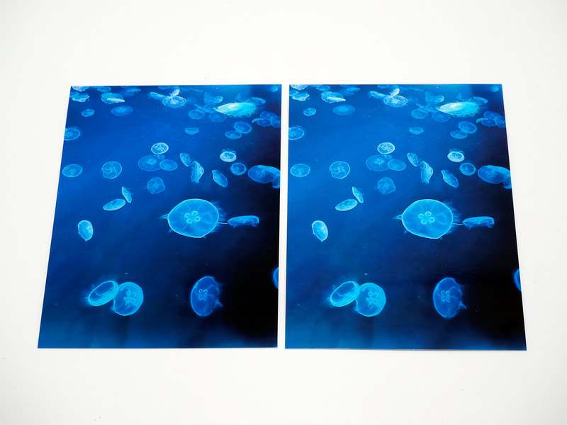 新製品レビュー：エプソン EP-886A - デジカメ Watch