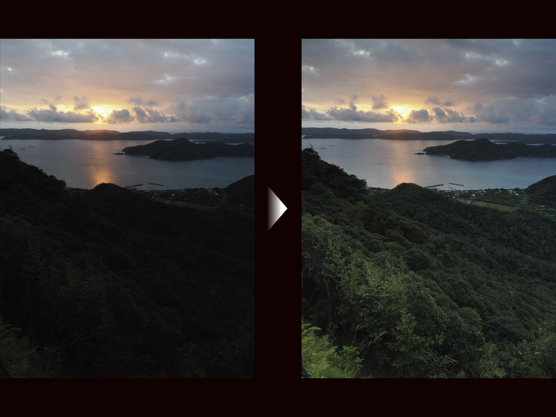 OM SYSTEM、新機能“ライブGND”を搭載した「OM-1 Mark II」。手ブレ補正やAFも進化 - デジカメ Watch