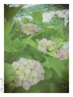 フォトアプリガイド：TimeCamera for iPhone（iOS） - デジカメ Watch Watch