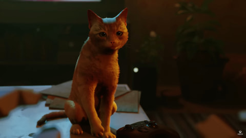 「Stray」、Xbox Series X|SとXbox One版が8月10日に配信決定 - GAME Watch