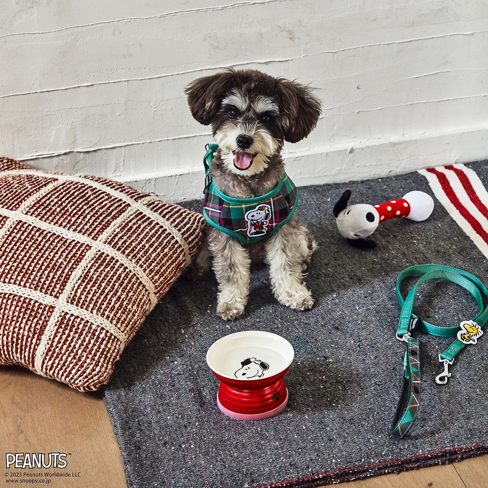 「PEANUTS」スヌーピーたちをデザインしたマグカップやショッピングバッグ、ペット向けアイテムが登場！ Afternoon Tea LIVING「PEANUTS TARTAN」9月13日発売 ...