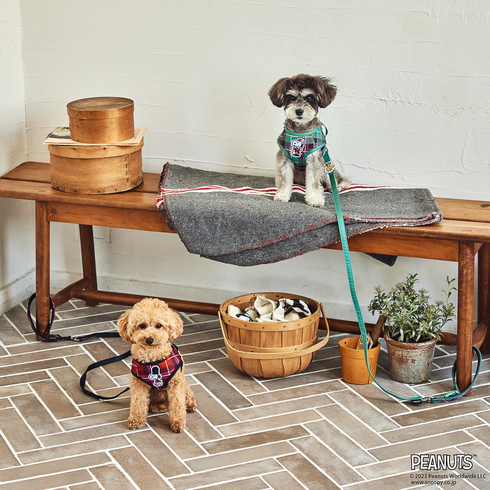 「PEANUTS」スヌーピーたちをデザインしたマグカップやショッピングバッグ、ペット向けアイテムが登場！ Afternoon Tea LIVING「PEANUTS TARTAN」9月13日発売 ...