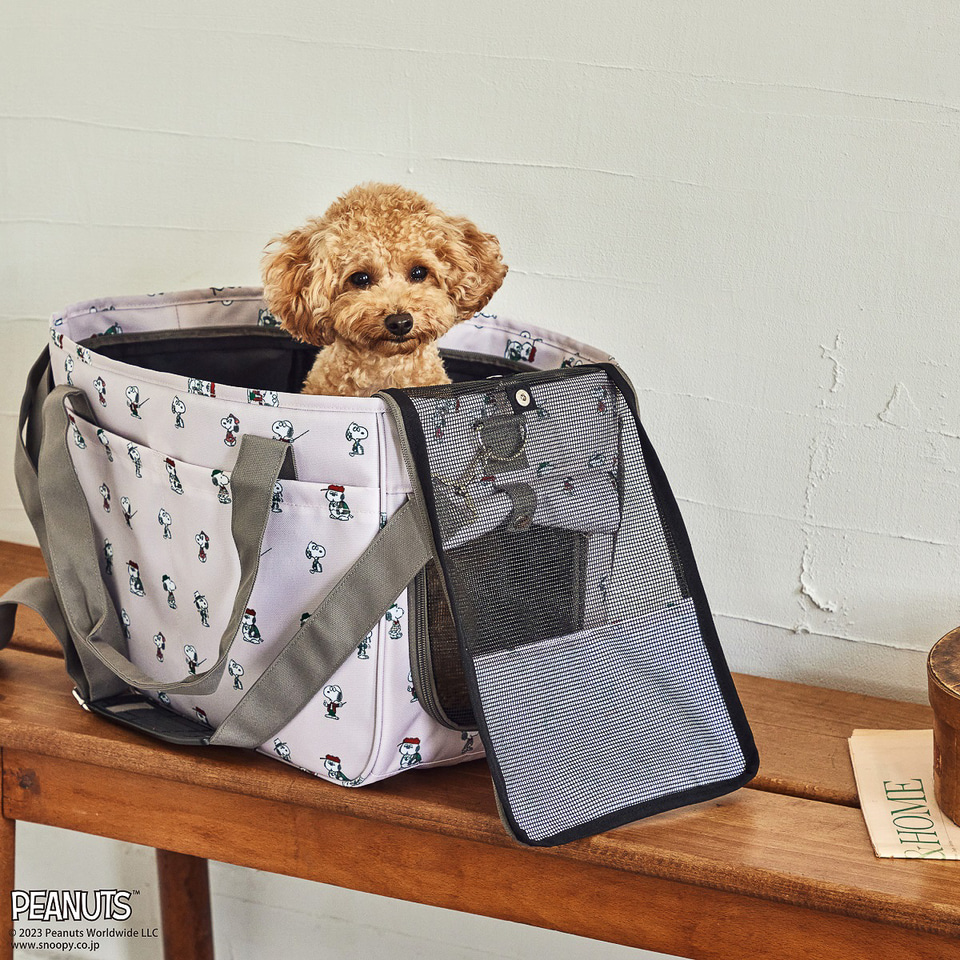 「PEANUTS」スヌーピーたちをデザインしたマグカップやショッピングバッグ、ペット向けアイテムが登場！ Afternoon Tea LIVING「PEANUTS TARTAN」9月13日発売 ...