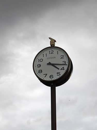 【レビュー】AI超進化 使ってわかった「Pixel 8/8 Pro」の魅力-Impress Watch