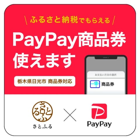 ふるさと納税の返礼品に、自治体指定の店舗で使える「PayPay商品券」、「さとふる」で提供 - INTERNET Watch