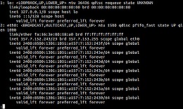 【もっと自由に使えるVPS「ConoHa by GMO」を試す】 IPv4アドレスの追加とIPv6アドレスの利用を試す - INTERNET Watch Watch