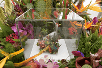 SUPER INFOBAR、talby 2……幻のモデルも登場するau Design project 15周年展示 - ケータイ Watch