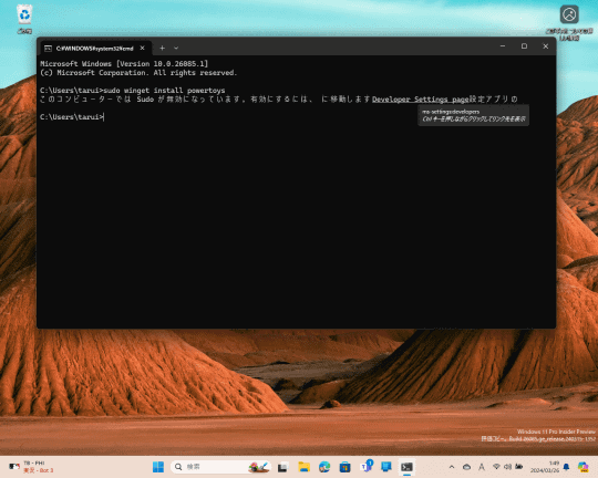 Windowsでもようやく利用できるようになった「Sudo」コマンドを早速体験 - やじうまの杜 - 窓の杜